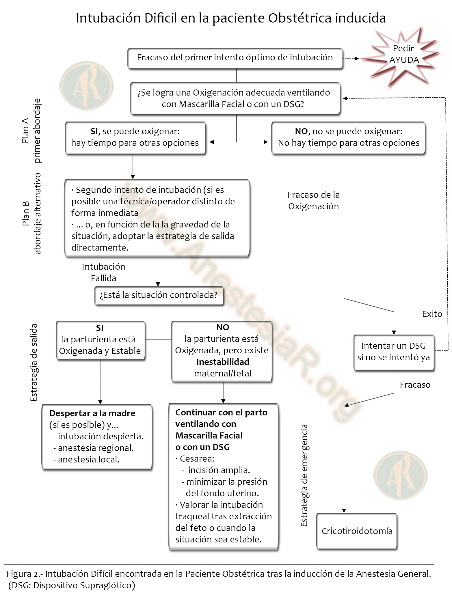 Recomendaciones para el manejo de la Ví­a Aérea Difí­cil. 1ª Parte. La Ví­a Aérea Difí­cil ...